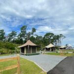Shell Island Ferry - St Andrews State Park - Final Thoughts: Who Should Consider This Tour?