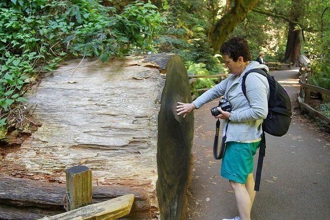 Shore Excursion: Guided Tour to Muir Woods with Roundtrip Journey - The Value of This Tour