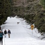 Shuttle to Snoqualmie Pass Ski and Snowboard - The Sum Up