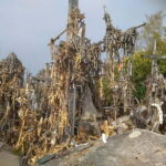 Siauliai 2-Hour Private Tour to Hill of Crosses - What You’ll Get for Your Money