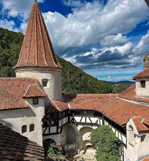 Sibiu: Dracula's Castle and Dino Park Day Trip - Exploring the Day in Detail