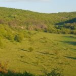 Sibiu panorama by evening, tour of Gusterita Hill - The Itinerary: Step-by-Step