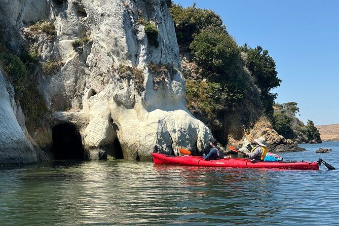 Sick Day Midweek Kayak Tour on Tomales Bay - Practical Details and Group Dynamics