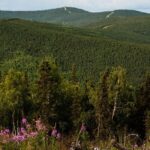 Side by Side Evening Tour - What’s Included & Practical Details