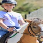 Side: Horse Safari Tour - The Horses and the Environment