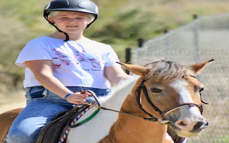 Side: Horse Safari Tour - The Horses and the Environment