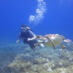 Side: Scuba Diving Under Water Museum - Diving and Underwater Exploration
