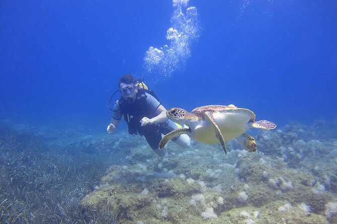 Side: Scuba Diving Under Water Museum - Diving and Underwater Exploration