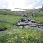 Sierra Nevada Day Trip from Granada. Small group up to 8 pax - Group Size & Guide