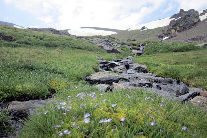 Sierra Nevada Day Trip from Granada. Small group up to 8 pax - Group Size & Guide