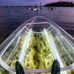 Siesta Key, FL - Clear Kayak LED Night Glass Bottom Tour - The Sum Up