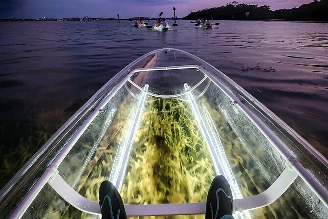 Siesta Key, FL - Clear Kayak LED Night Glass Bottom Tour - The Sum Up