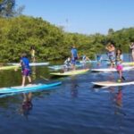 Siesta Key: Mangrove Kayak or Paddleboard Tour - The Itinerary: What You Can Expect