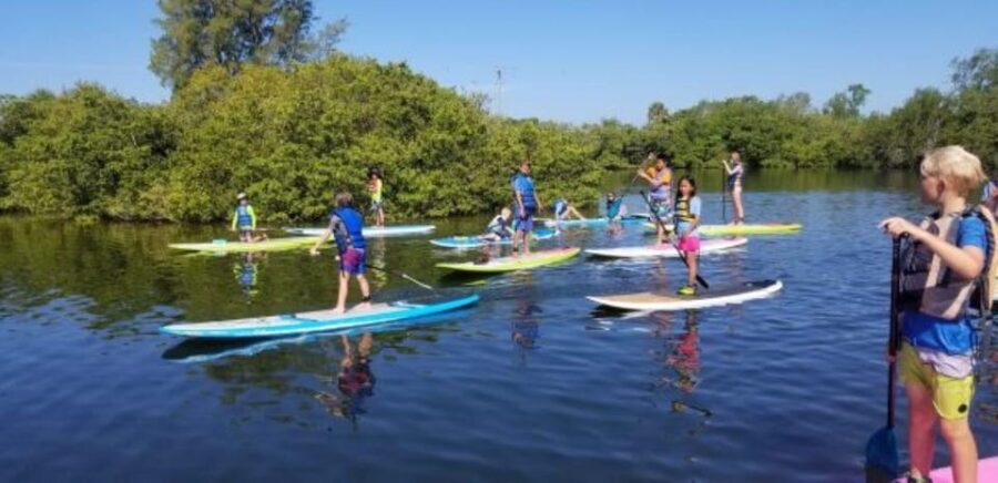Siesta Key: Mangrove Kayak or Paddleboard Tour - The Itinerary: What You Can Expect