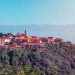 Sighnaghi and Bodbe Wine Tasting private tour: From Tbilisi - Practical Details & Value