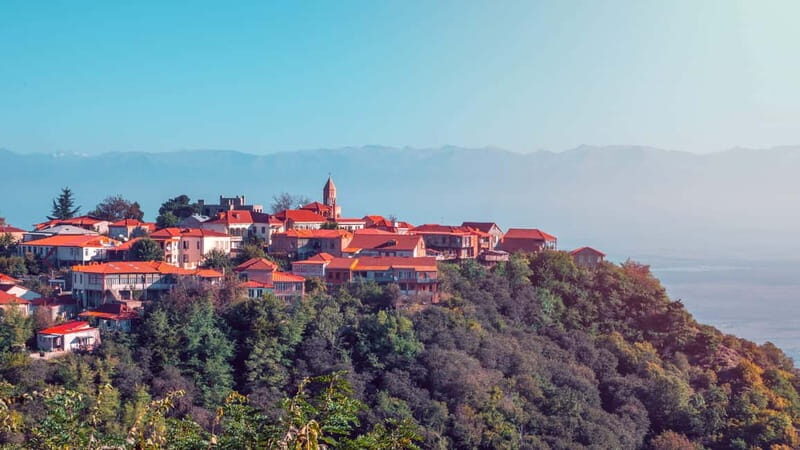 Sighnaghi and Bodbe Wine Tasting private tour: From Tbilisi - Practical Details & Value