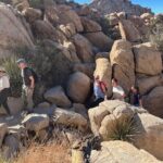 Sightseeing Adventure Tour of Joshua Tree National Park - A Closer Look at the Experience