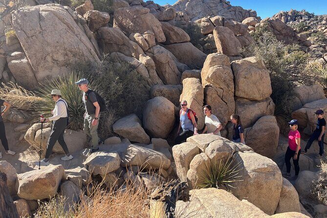 Sightseeing Adventure Tour of Joshua Tree National Park - A Closer Look at the Experience