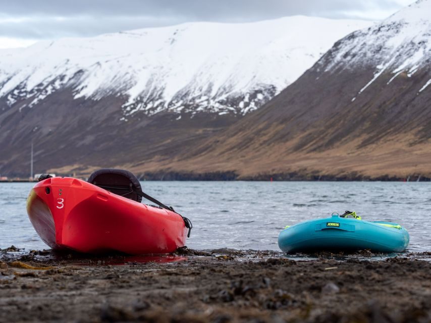 Siglufjörður / Siglufjordur: Private Guided kayak tour. - Price and Value