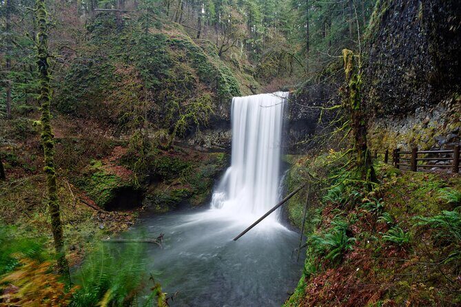 Silver Falls Private Hike Tour - Pricing and Value