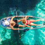 Silver Springs: Clear Kayak Wildlife Tour - What to Expect During the Tour