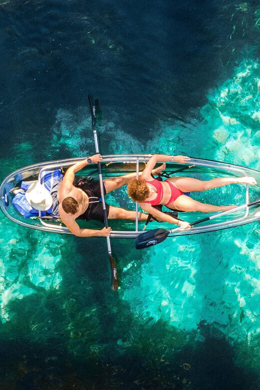 Silver Springs: Clear Kayak Wildlife Tour - What to Expect During the Tour