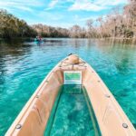 Silver Springs: Glass Bottom Kayak and Wildlife Tour - Value and Practical Insights