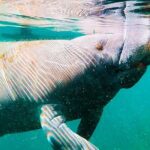 Silver Springs Paddle Adventure - An In-Depth Look at Silver Springs Paddle Adventure