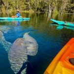 Silver Springs Premium Florida Wildlife Experience! - Who Will Love This Tour?