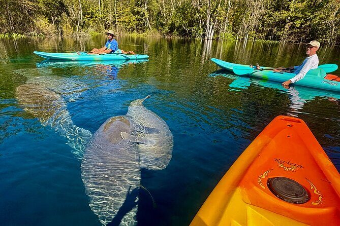 Silver Springs Premium Florida Wildlife Experience! - Who Will Love This Tour?