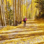 Silverthorne: Mountain Bike Ride Salt Lick Trails - Is This Tour Worth the Price?