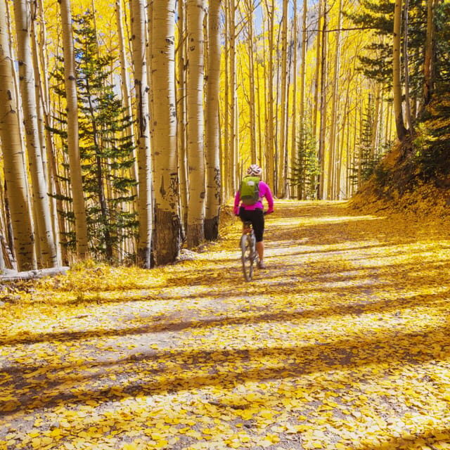 Silverthorne: Mountain Bike Ride Salt Lick Trails - Is This Tour Worth the Price?