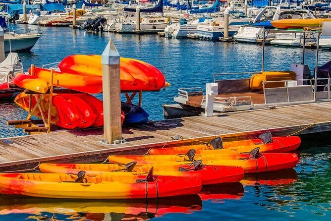 Single Kayak Rental in Mission Bay - The Sum Up