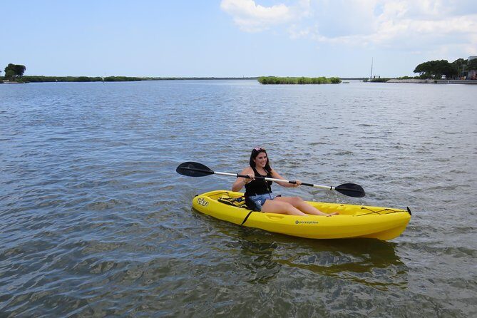 Single Kayak Rental to Explore the backwaters of Rose Bay - Overview of the Kayak Experience in Rose Bay