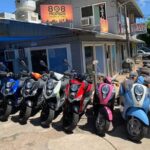 Single Passenger Moped/Scooter - 18+ NO Motorcycle License Needed - Authentic Experience and Customer Feedback