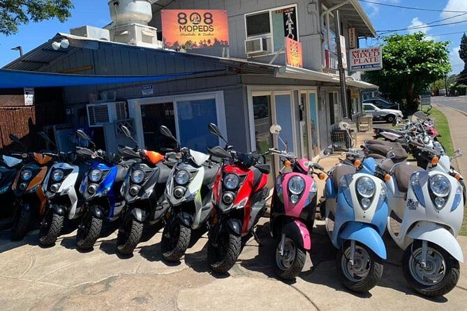 Single Passenger Moped/Scooter - 18+ NO Motorcycle License Needed - Authentic Experience and Customer Feedback