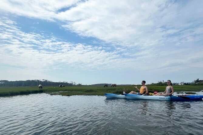 Single Sit on Top Kayak Rental at Assateague Island, MD - What to Expect from the Kayak Rental Experience