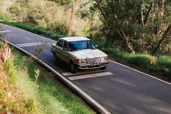 Sintra & Cascais Full Day - Private Tour in Classic Car - Who Will Love This Tour?