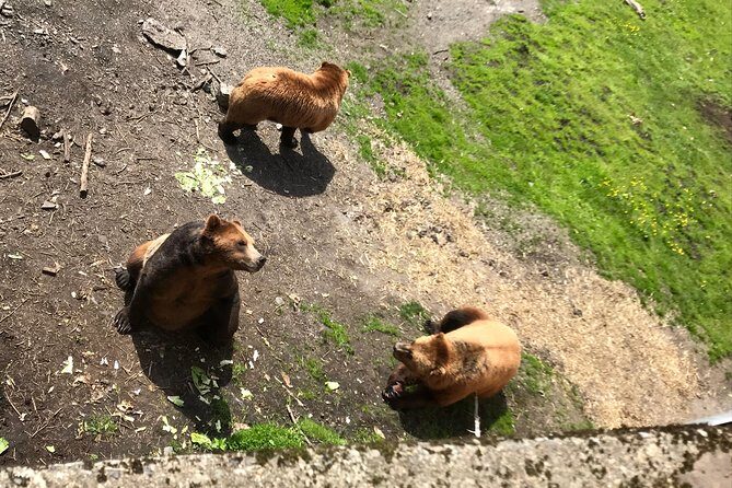 Sitka's only Private Simply Amazing Tour - What Travelers Can Expect
