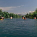 Skadar Lake: 4-Hour Guided tours on Kayak - What Makes the Tour Stand Out?