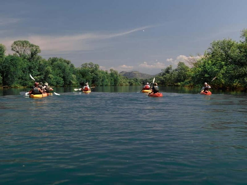 Skadar Lake: 4-Hour Guided tours on Kayak - What Makes the Tour Stand Out?