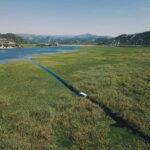 Skadar Lake: Explore the nature and national cuisine - The Boat Ride and Nature Exploration