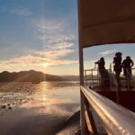 Skadar Lake Private Boat Tour with Wine Tasting - A Detailed Breakdown of the Experience
