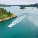 Skagit Valley Birding + Deception Pass Day Tour From Seattle - How the Experience Comes Together