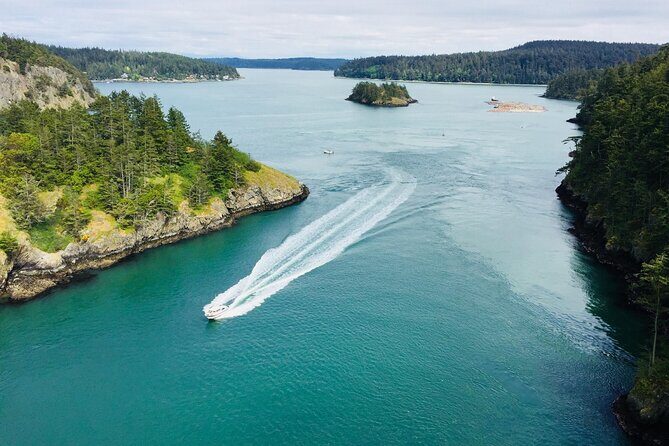 Skagit Valley Birding + Deception Pass Day Tour From Seattle - How the Experience Comes Together