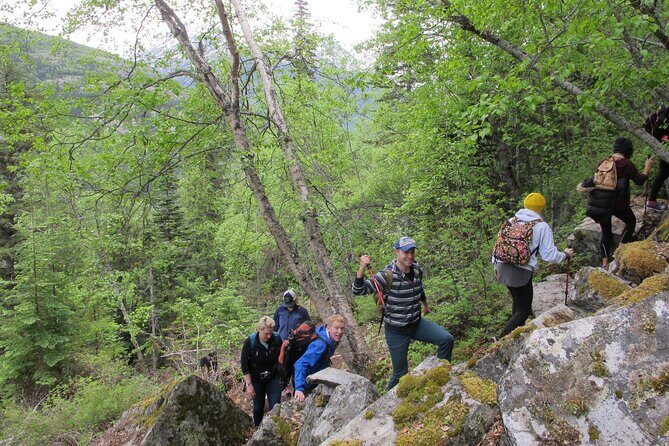 Skagway Adventure Hike - Why the Price Reflects Good Value