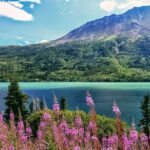 Skagway Shore Excursion: Full-Day Tour of the Yukon - Final Thoughts: Who Will Appreciate This Tour?