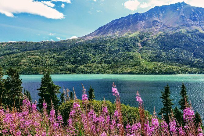 Skagway Shore Excursion: Full-Day Tour of the Yukon - Final Thoughts: Who Will Appreciate This Tour?