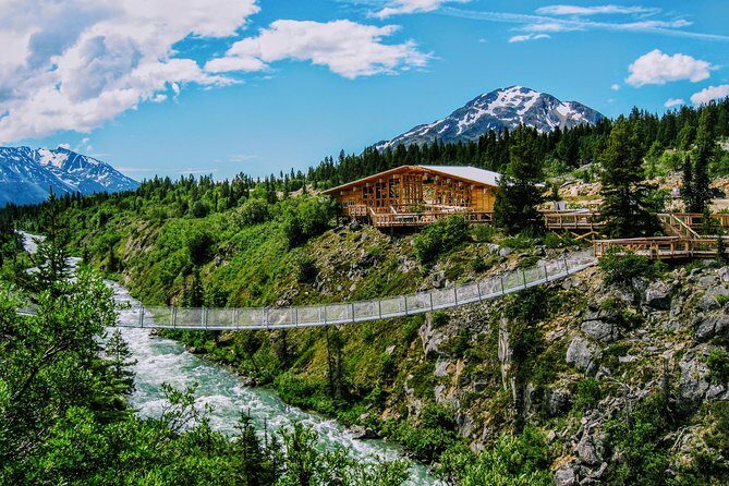 Skagway Shore Excursion: Half-Day Tour to the Yukon Border and Suspension Bridge - What Could Be Better?