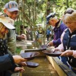 Skagway Shore Excursion: Liarsville Gold Rush Camp, Gold Panning and Salmon Bake Combo - The Sum Up